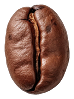 Meet Nat – Nat's Cafe